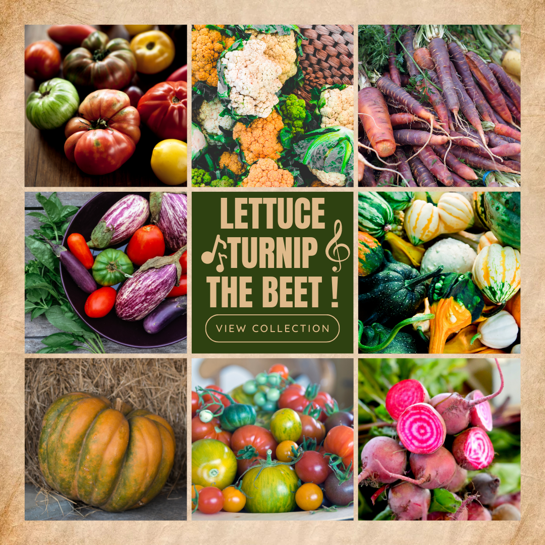 Rare Heirloom Fruit & Vegetable Seeds Canada – Unique Gardening ...