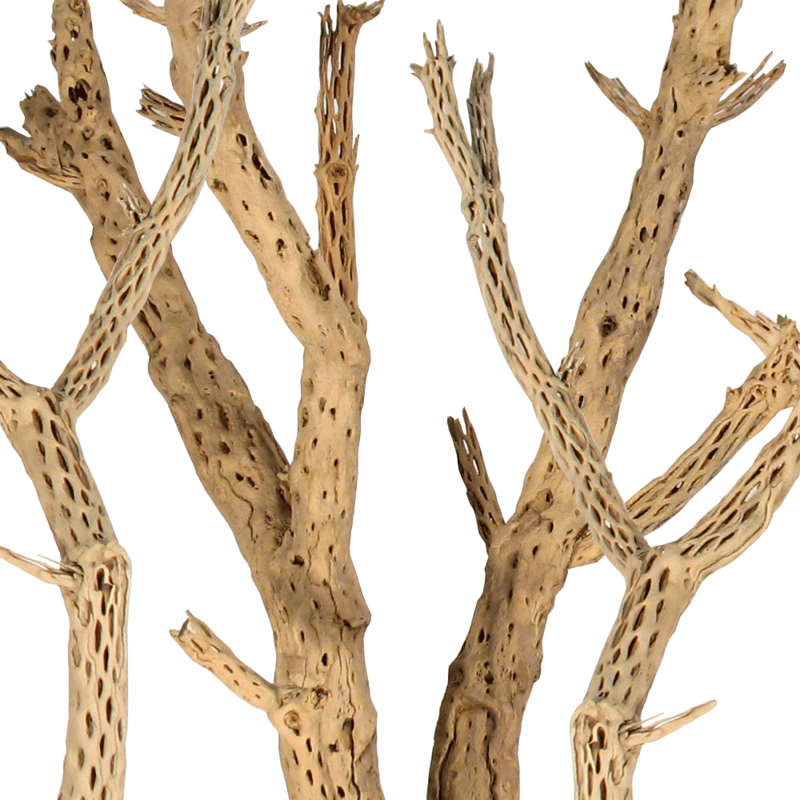 Wood Branches & Poles - Stargazer Exotics - Reptile Store - Canada