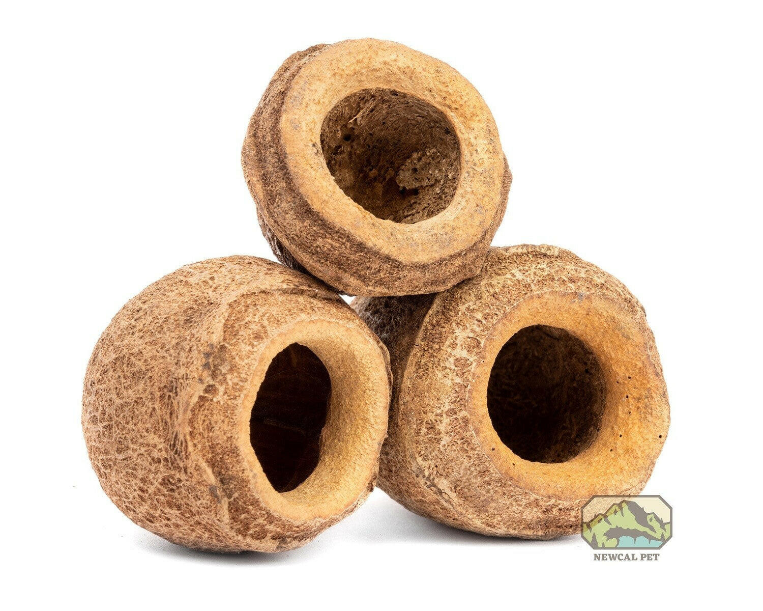 Mini Monkey Pots | Stargazer Exotics