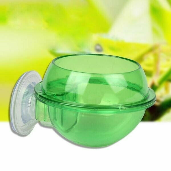 Escape-Proof Insect Feeder | Stargazer Exotics