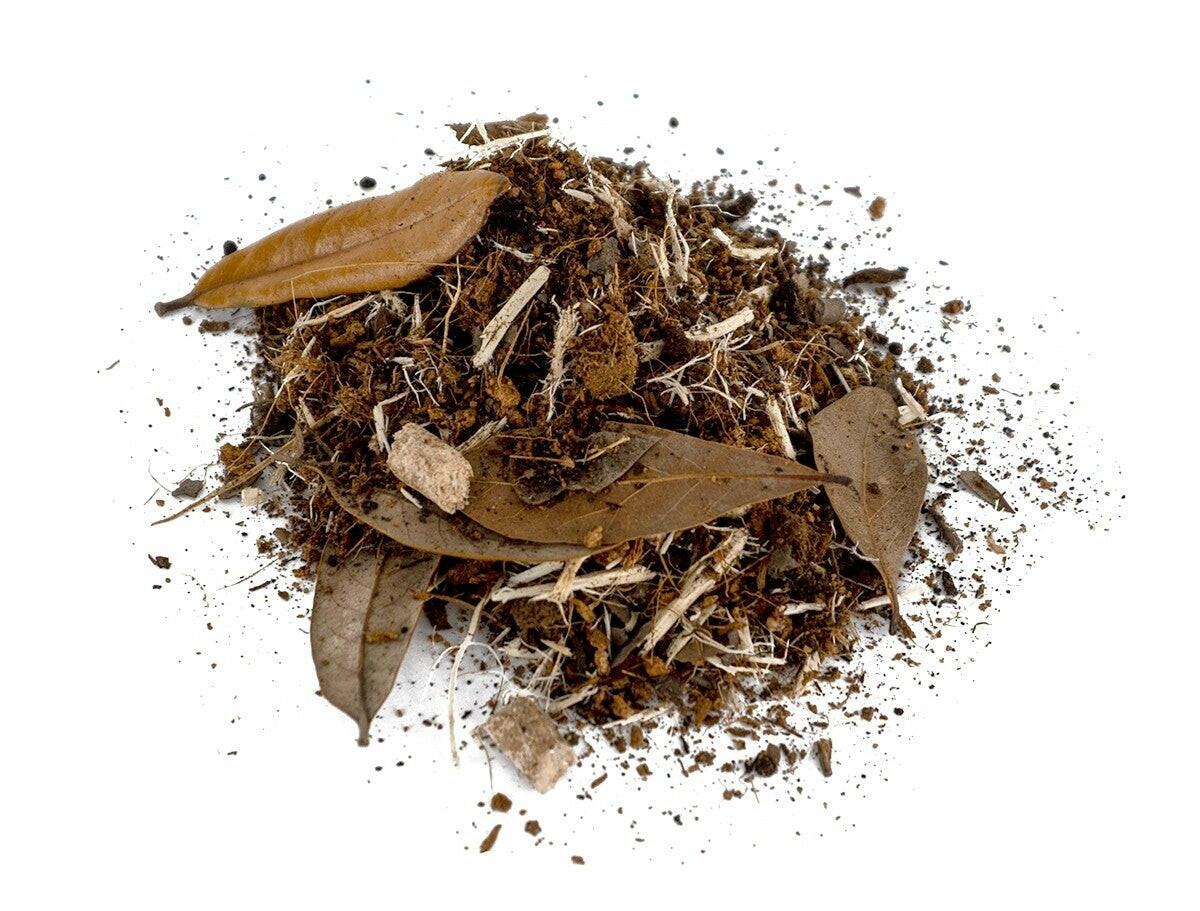 Calcium Enriched Isopod Substrate | Stargazer Exotics