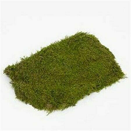 Dried Sheet Moss for Unique Displays | Stargazer Exotics