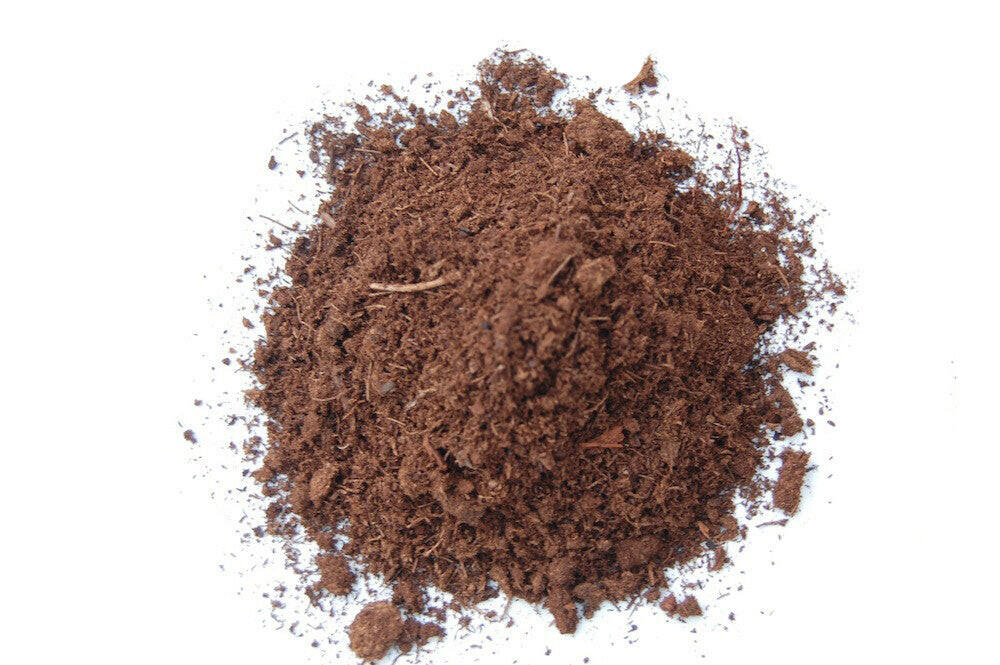Peat Moss | Stargazer Exotics