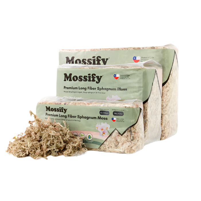 Premium Natural Sphagnum Moss | Stargazer Exotics