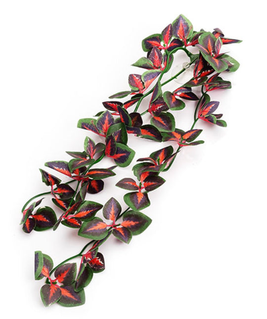 Hanging Folium Perillae Leaves | Reptizoo Reptile Supplies | Stargazer ...
