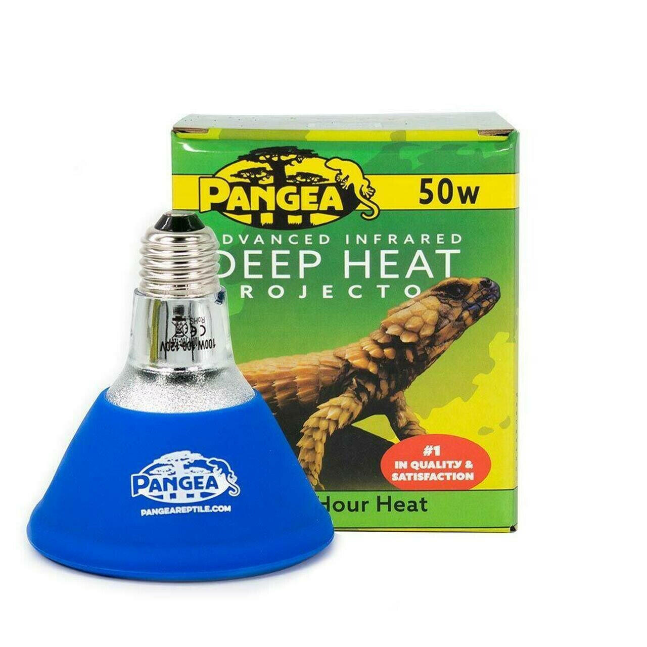 Pangea Deep Heat Projector – Stargazer Exotics