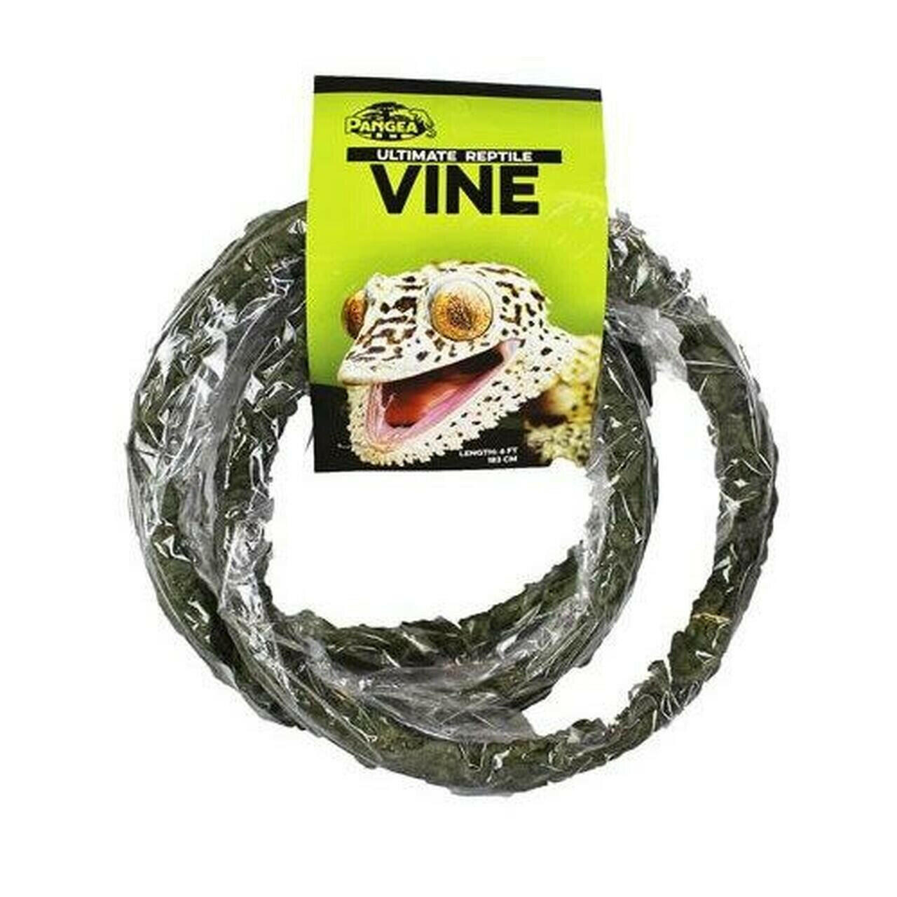 Pangea Ultimate Reptile Vine Brown | Stargazer Exotics
