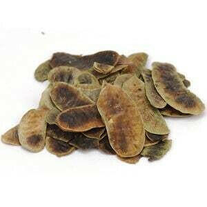 Senna Pod for Reptile Substrates | Stargazer Exotics