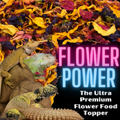 Ultra Premium Flower Food Topper | Stargazer Exotics