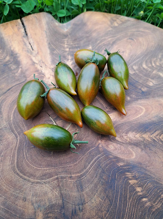 Emalia Tomato - Solanum lycopersicum | Rare Plant Seeds | Whimsy and ...