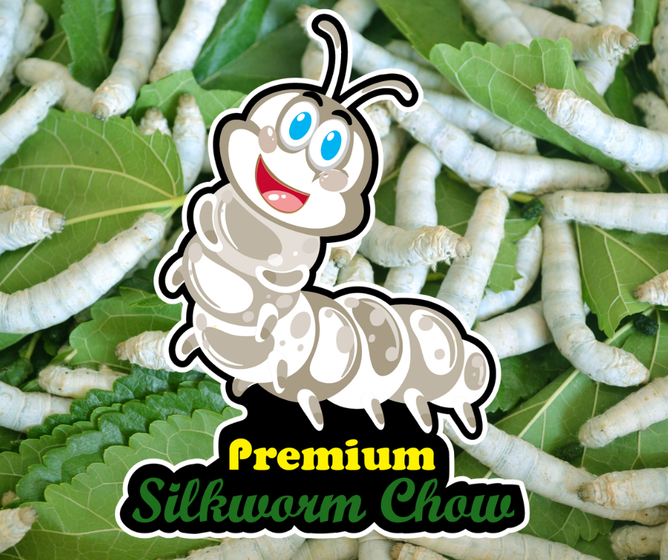 Organic Silkworm Chow Powder | Stargazer Exotics