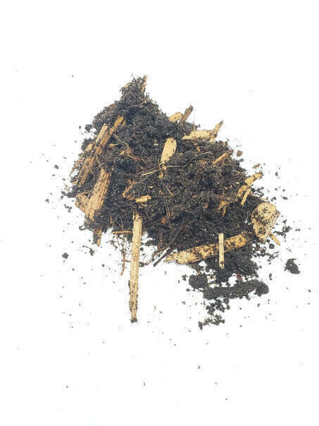 Premium Tarantula Substrate | Stargazer Exotics