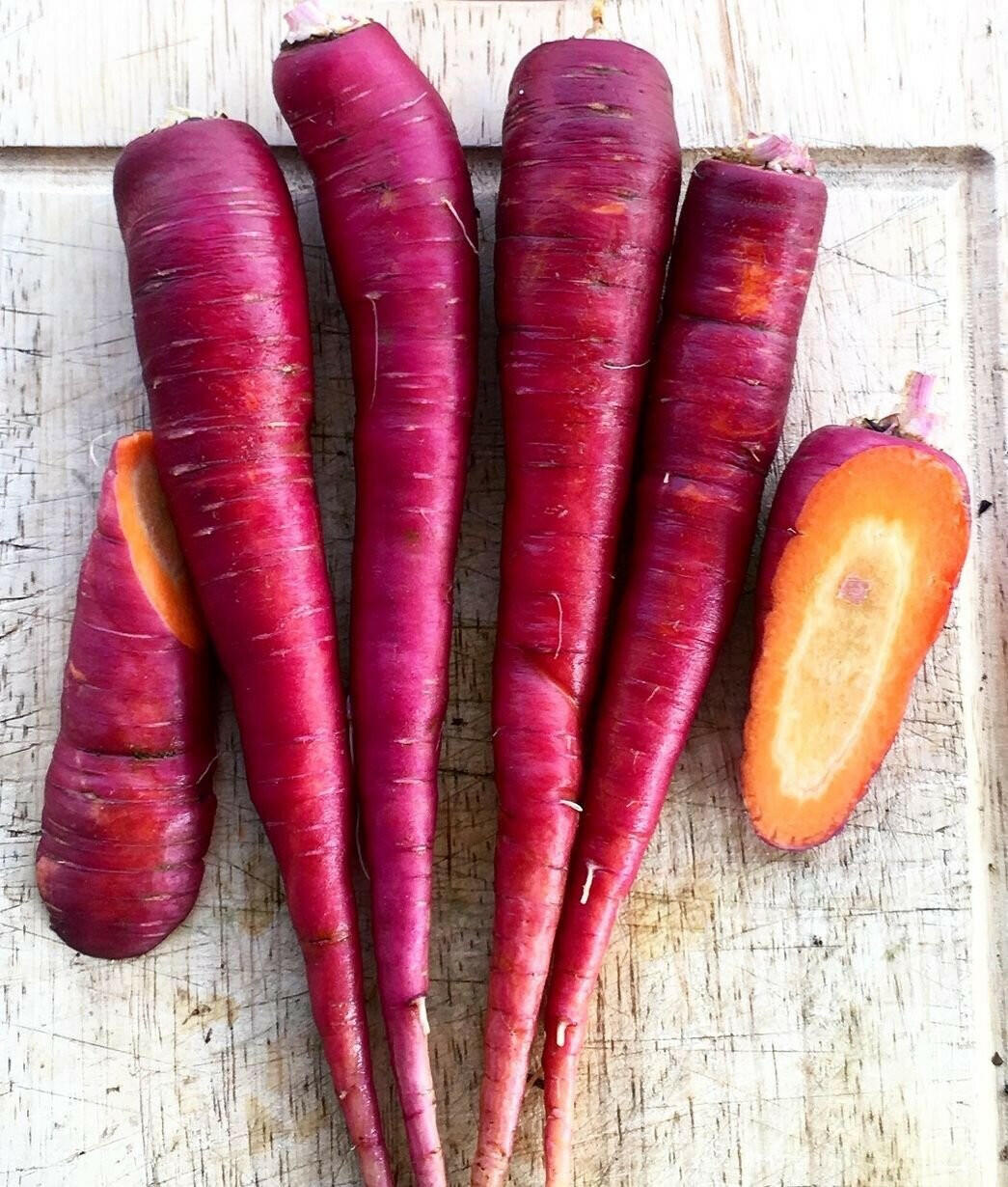 Purple Dragon Carrot - Daucus carota | Rare Plant Seeds | Whimsy and ...