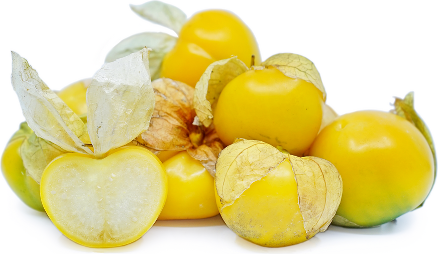 Amarylla Tomatillo - Physalis ixocarpa | Rare Plant Seeds | Whimsy and ...