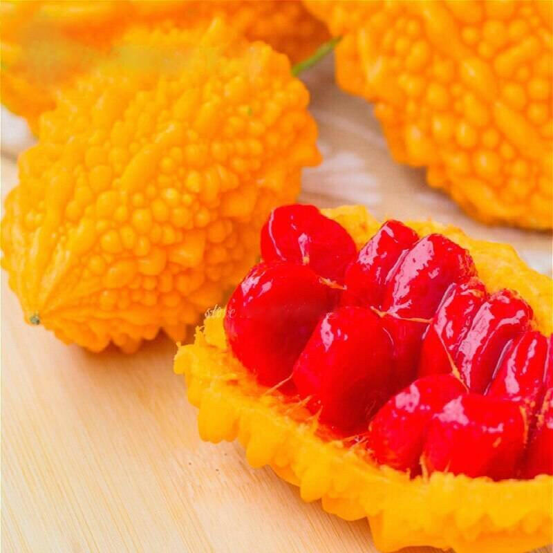 Bitter Melon - Red and Yellow - Momordica charantia | Rare Plant Seeds ...