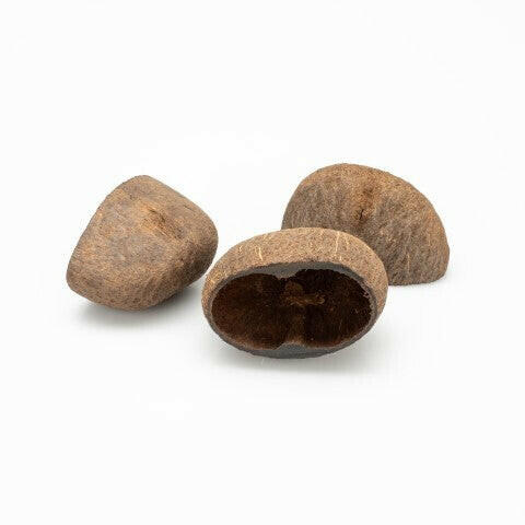 Palm Cups | Stargazer Exotics