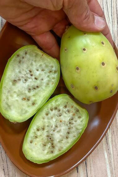 Green Goblin Prickly Pear - Opuntia ficus-indica 'Torreón Green' | Rare ...