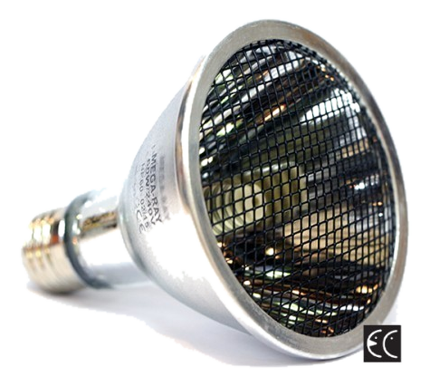 MegaRay Heat Projector | Stargazer Exotics