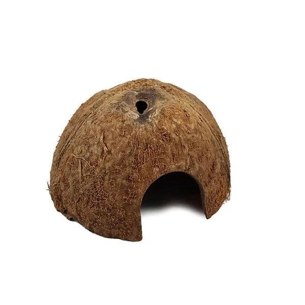 Real Coconut Shell Hides | Stargazer Exotics