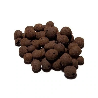 LECA Clay Balls for Terrariums | Drainage Layer Base (Hydroballs ...