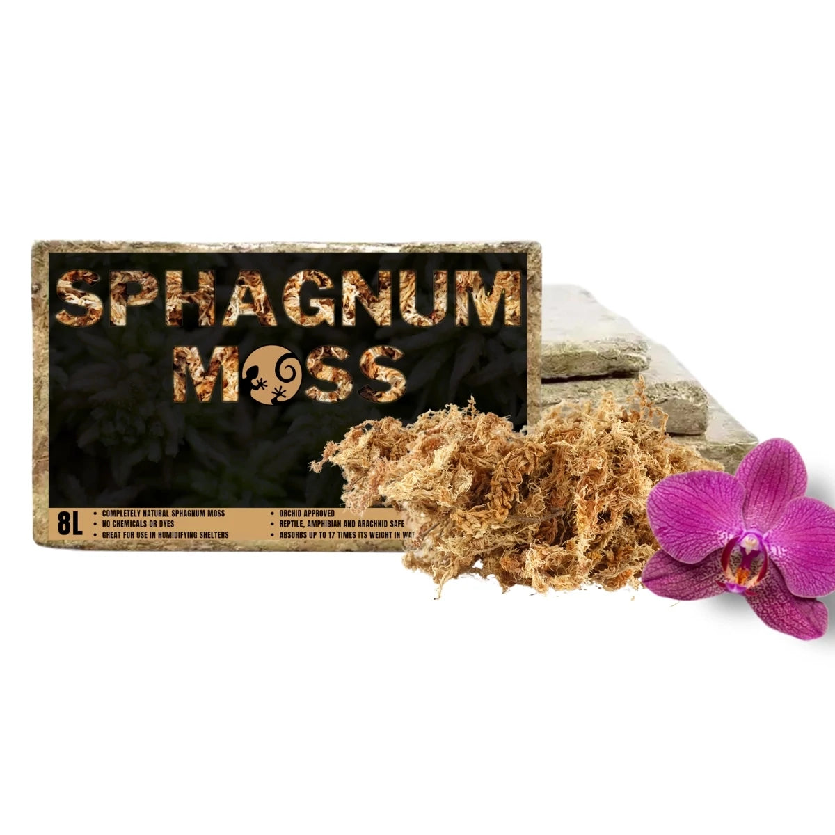 Premium Sphagnum Moss 8L Brick | Stargazer Exotics