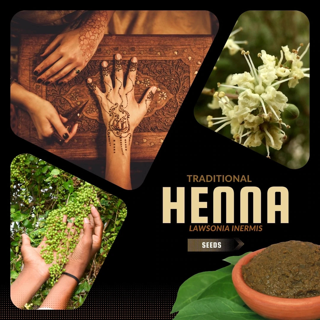 Henna Tree - Lawsonia inermis | Rare Plant Seeds | Whimsy and Wonder ...