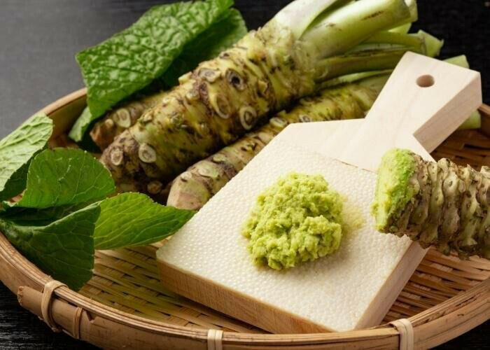 Wasabi / Japanese Horseradish - Wasabia japonica | Rare Plant Seeds ...