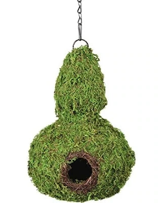 Woven Moss Gourd with Chain | Stargazer Exotics