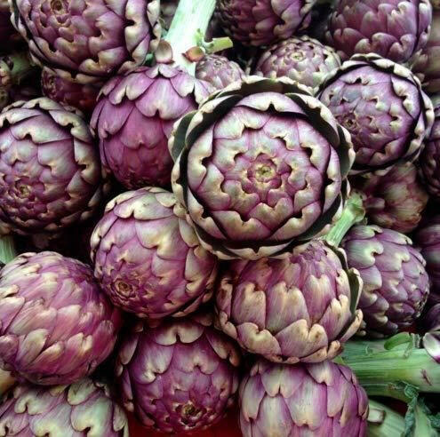 Artichoke Violet De Provence - Cynara scolymus | Rare Plant Seeds ...