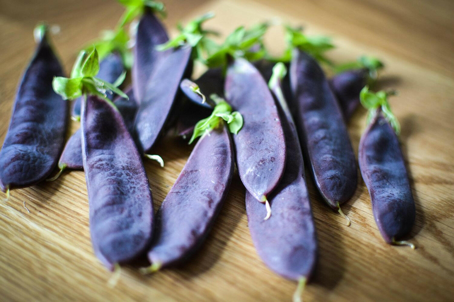 Shiraz Sugarsnap Pea - Pisum Sativum | Rare Plant Seeds | Whimsy and ...