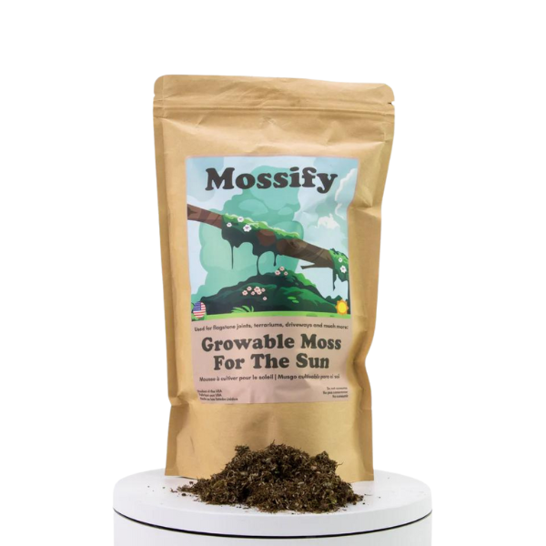 Growable Moss for Bright Spaces | Stargazer Exotics
