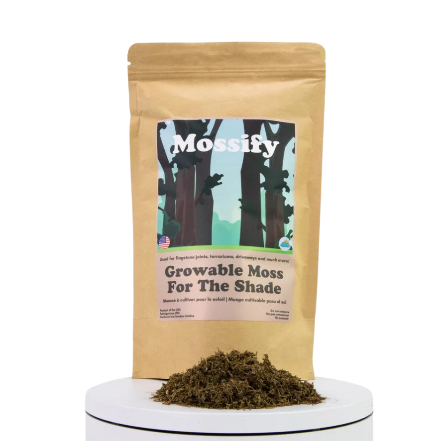 Growable Moss for Shaded Spaces | Stargazer Exotics