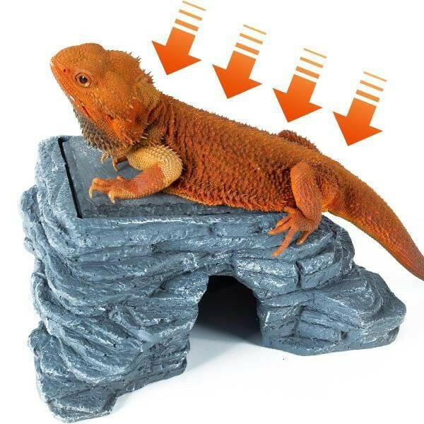 Corner Hide Cave with Slate Stone for Reptiles | Stargazer Exotics