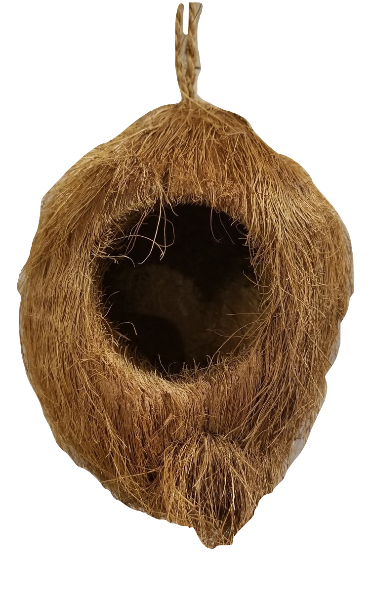 Coconut Blind for Pet Habitats | Stargazer Exotics