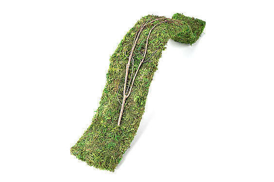 Mossy Bridge Bendable & Reshapable | Stargazer Exotics