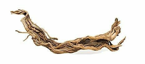 Dragon Root for Reptile Enclosures | Stargazer Exotics