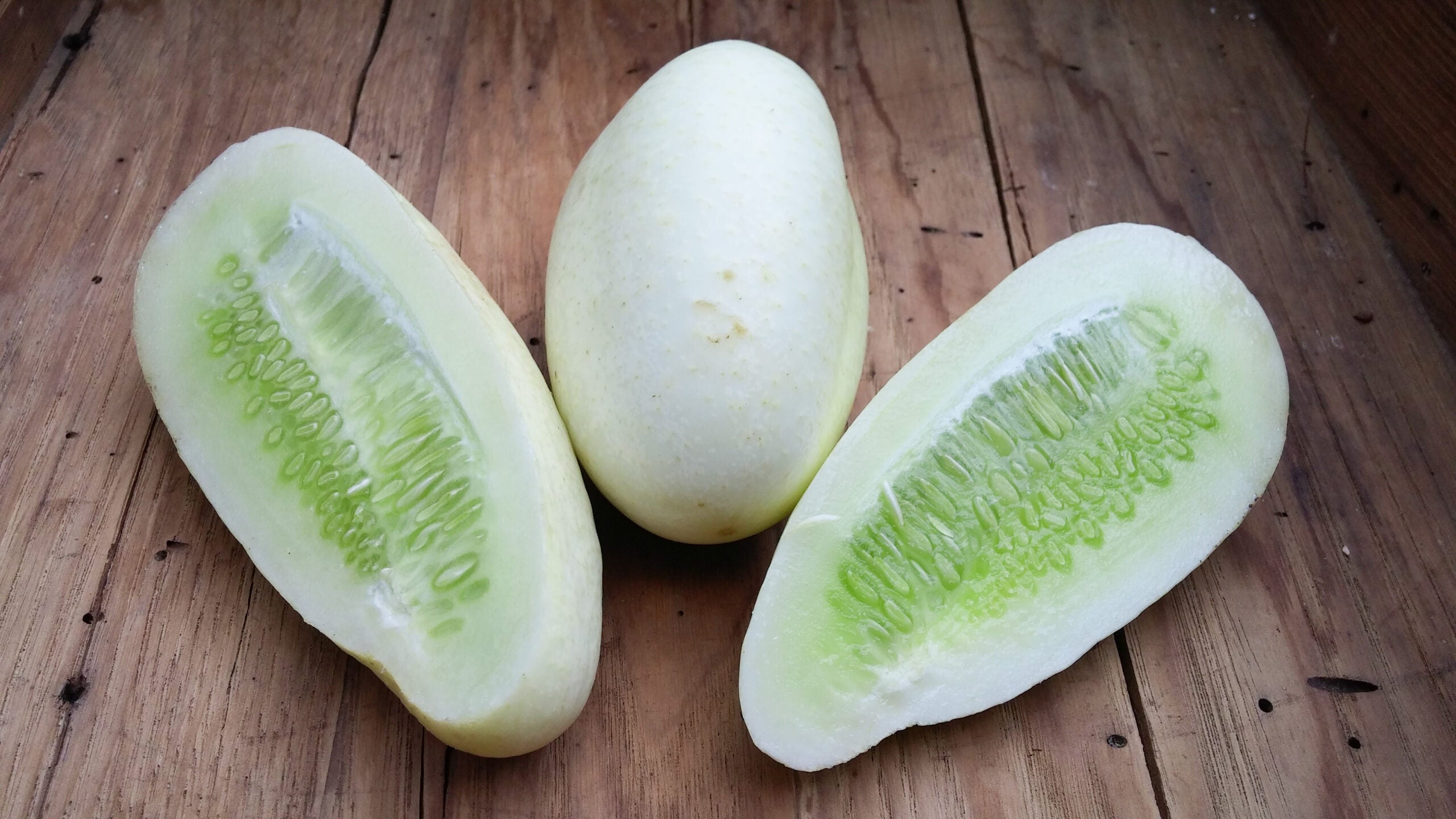 White Wonder Cucumber - Cucumis sativus | Rare Plant Seeds | Whimsy and ...