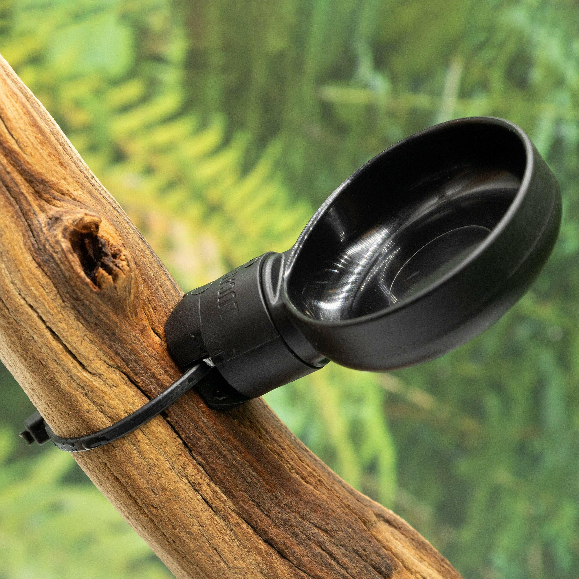 Pangea MicroDish Large Branch Mount| Stargazer Exotics